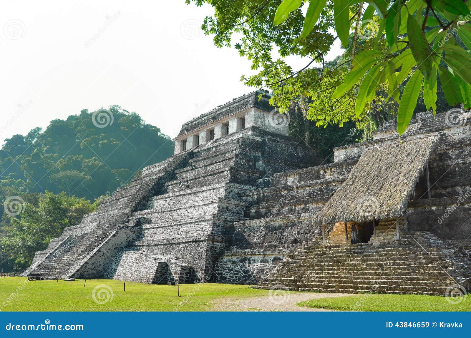 Palenque Ancient Mayan Temples Stock Image - Image of palenque, nature ...