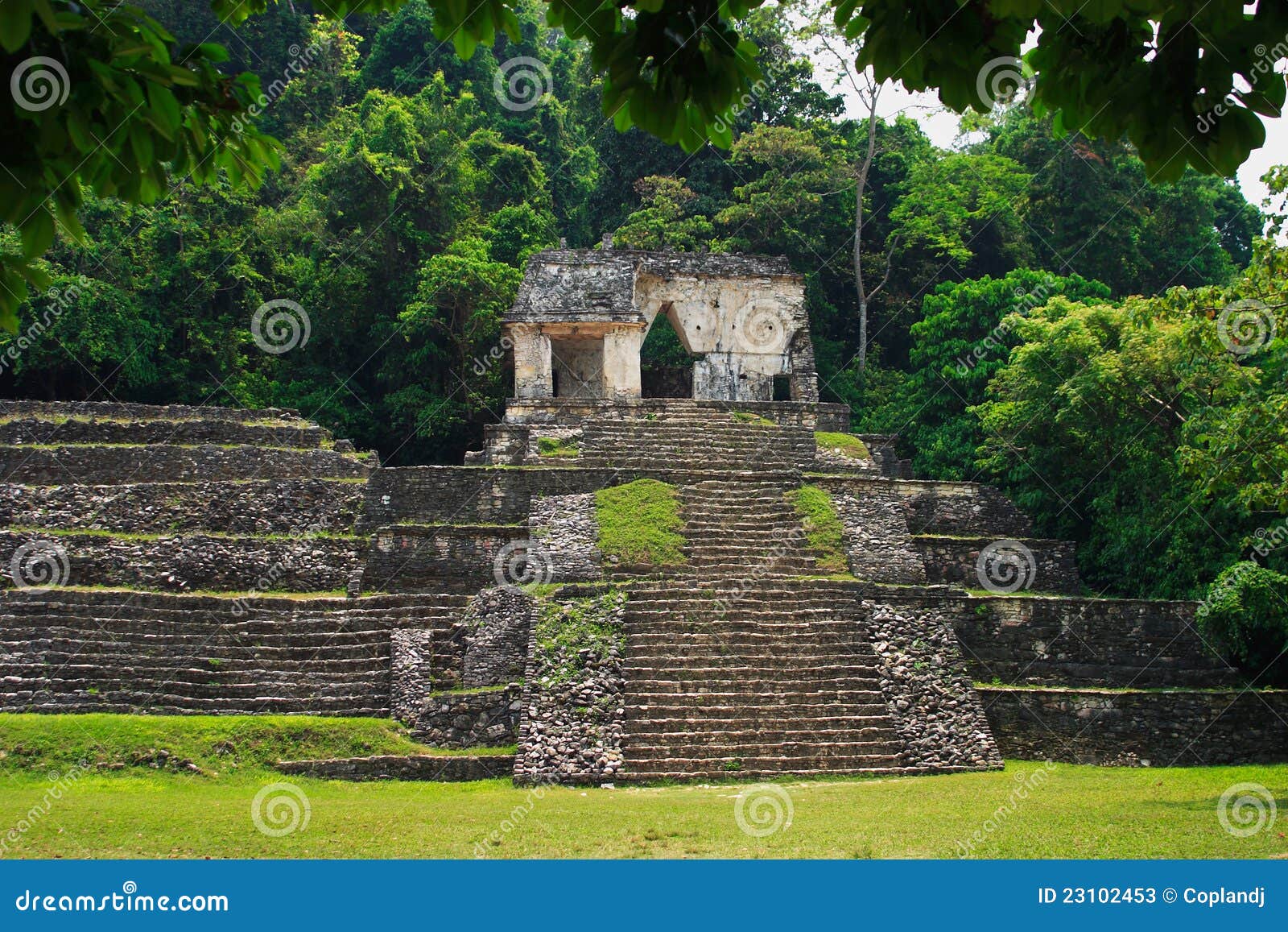 Palenque Mayan ruins stock image. Image of archeology - 23102453