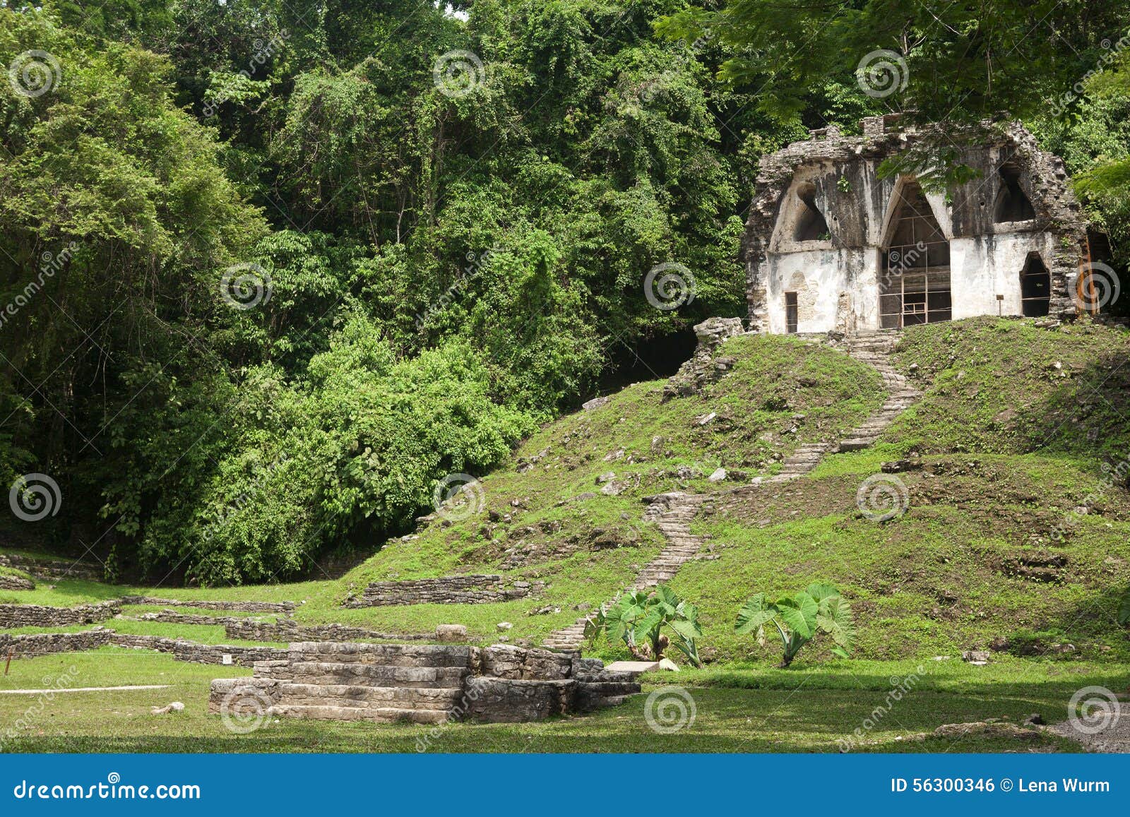 Palenque Mayan Ruins, Chiapas, Mexico Stock Photo - Image of outdoor ...
