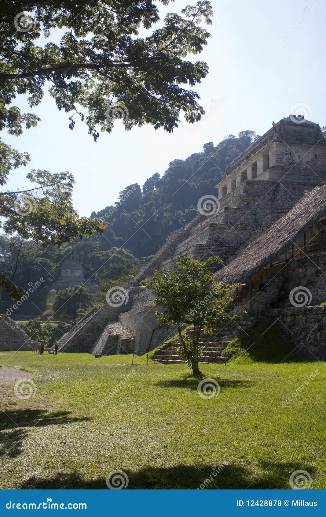 Palenque - mexico stock photo. Image of indian, religion - 12428878