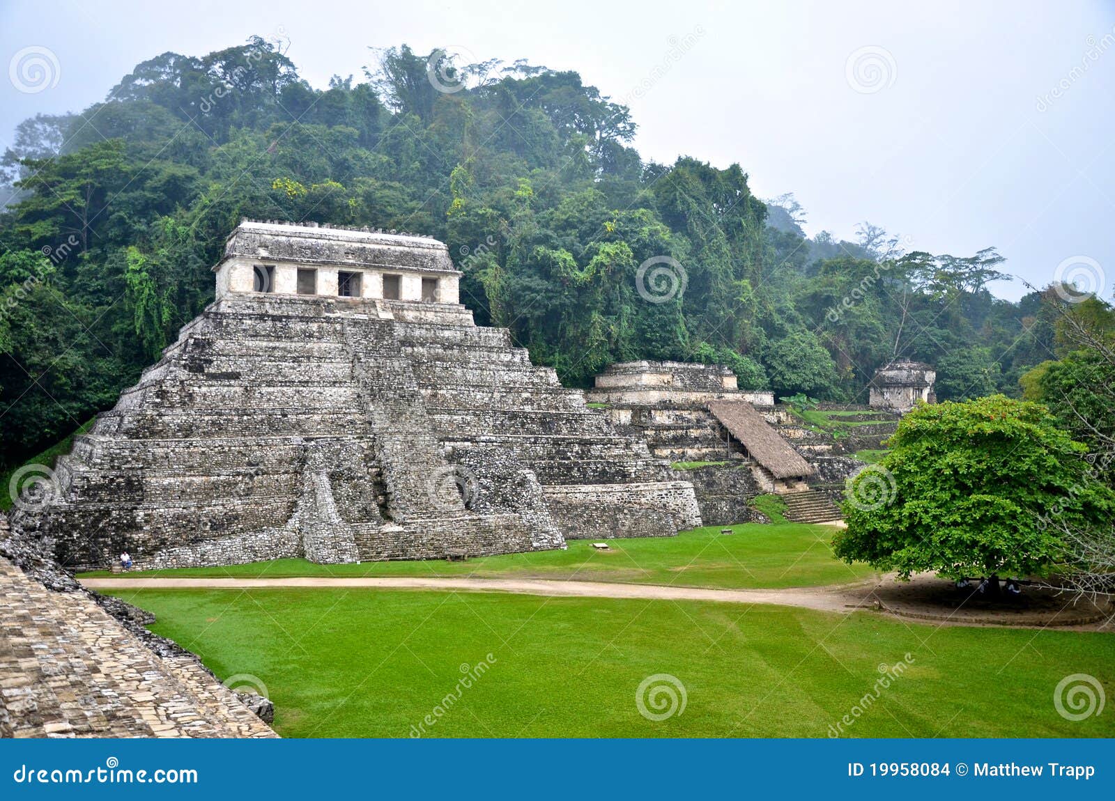 Palenque ruins stock photo. Image of culture, artifacts - 19958084