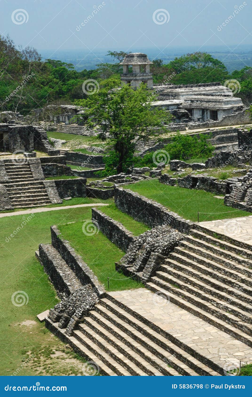 Palenque Ruins stock photo. Image of ruins, maya, society - 5836798