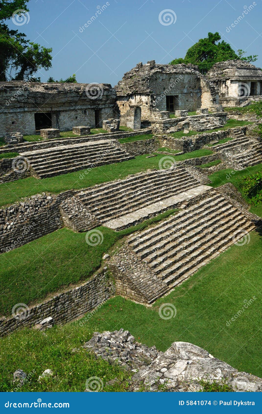 Palenque Ruins stock photo. Image of palenque, maya, skies - 5841074