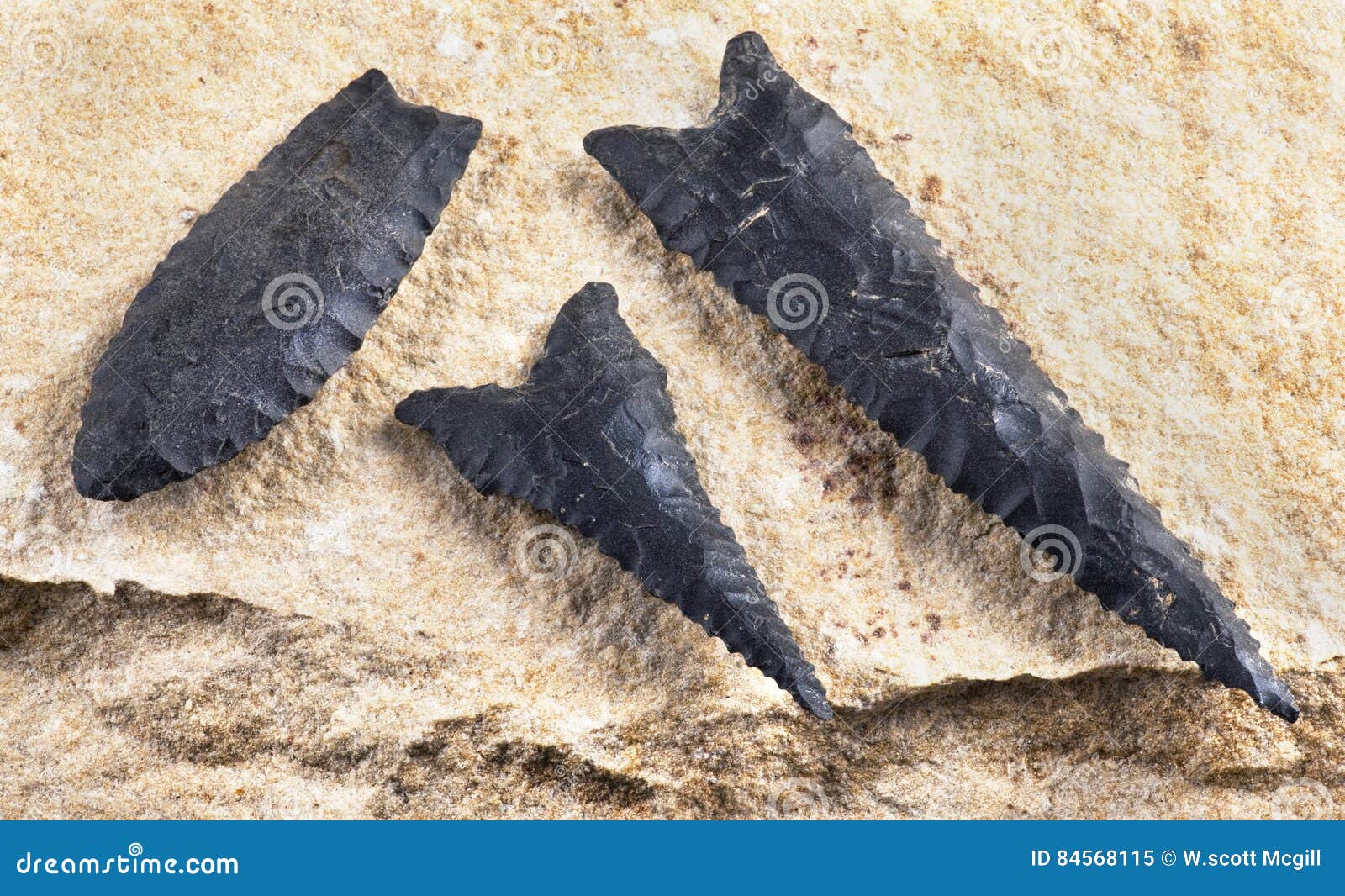 Paleo Dalton Arrowheads image stock. Image du vieux, cannelé - 84568115