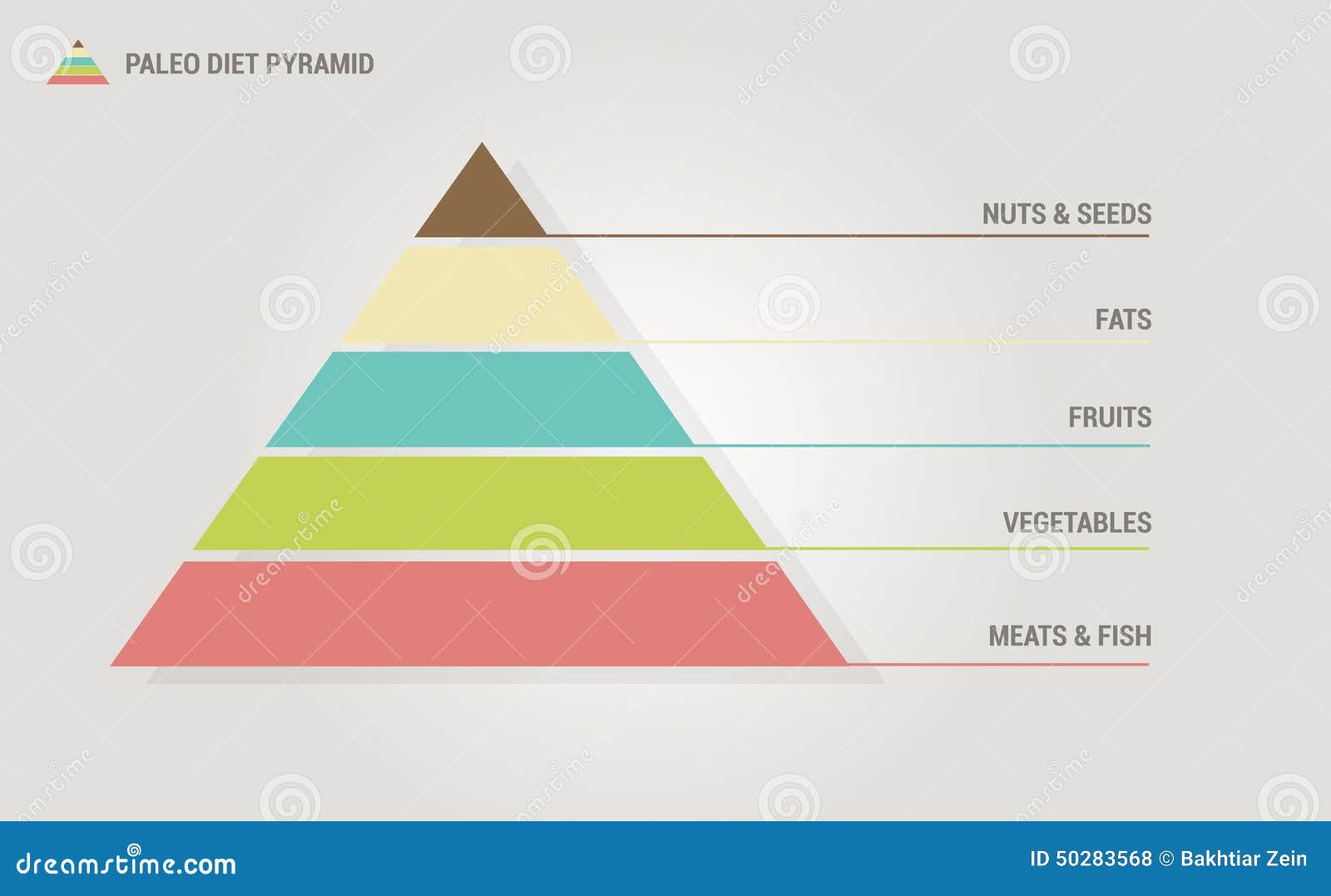 Paleo Diet Pyramid stock vector. Illustration of beef - 50283568