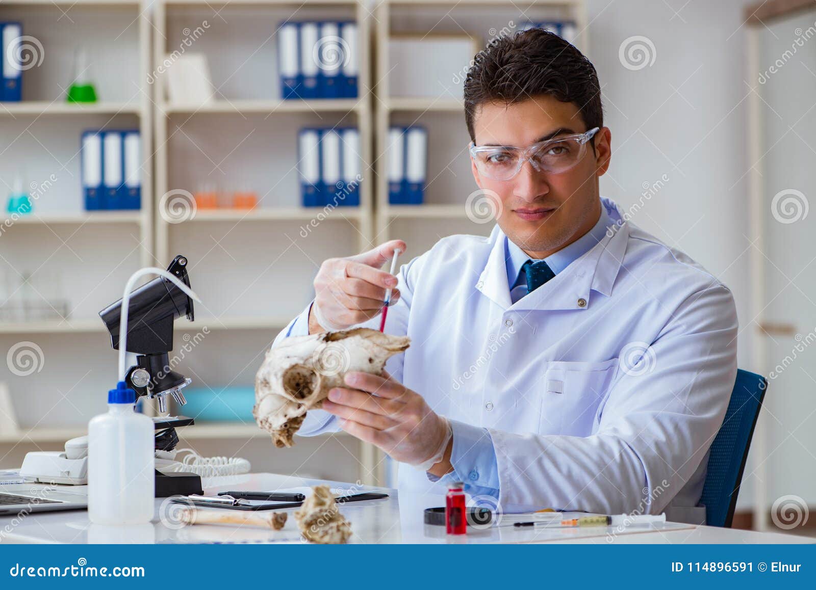 The Paleontologist Looking at Extinct Animal Bone Stock Image - Image ...