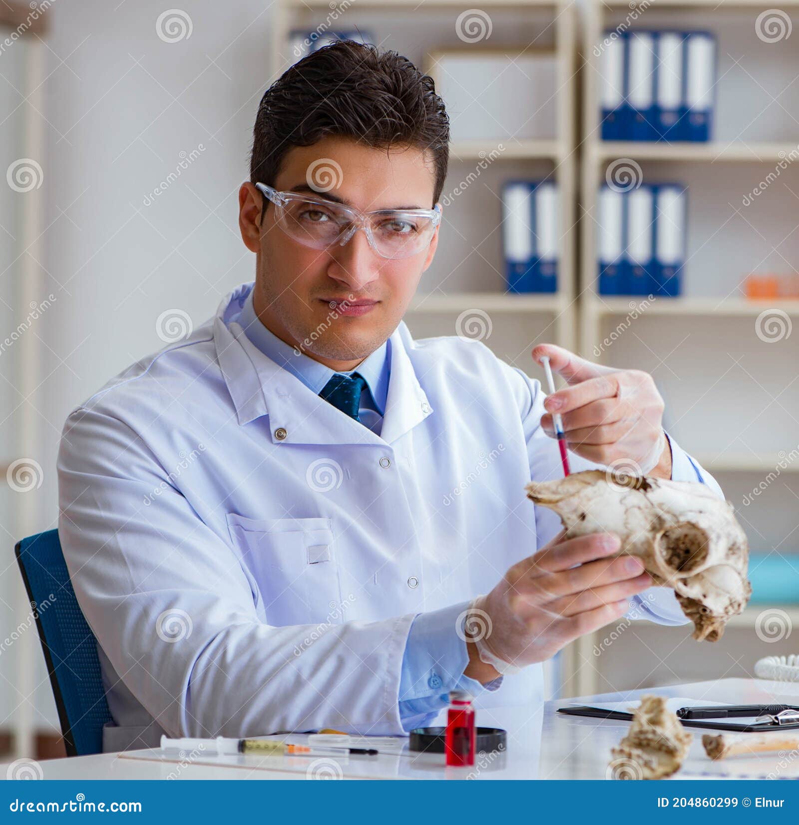 Paleontologist Looking at Extinct Animal Bone Stock Image - Image of ...