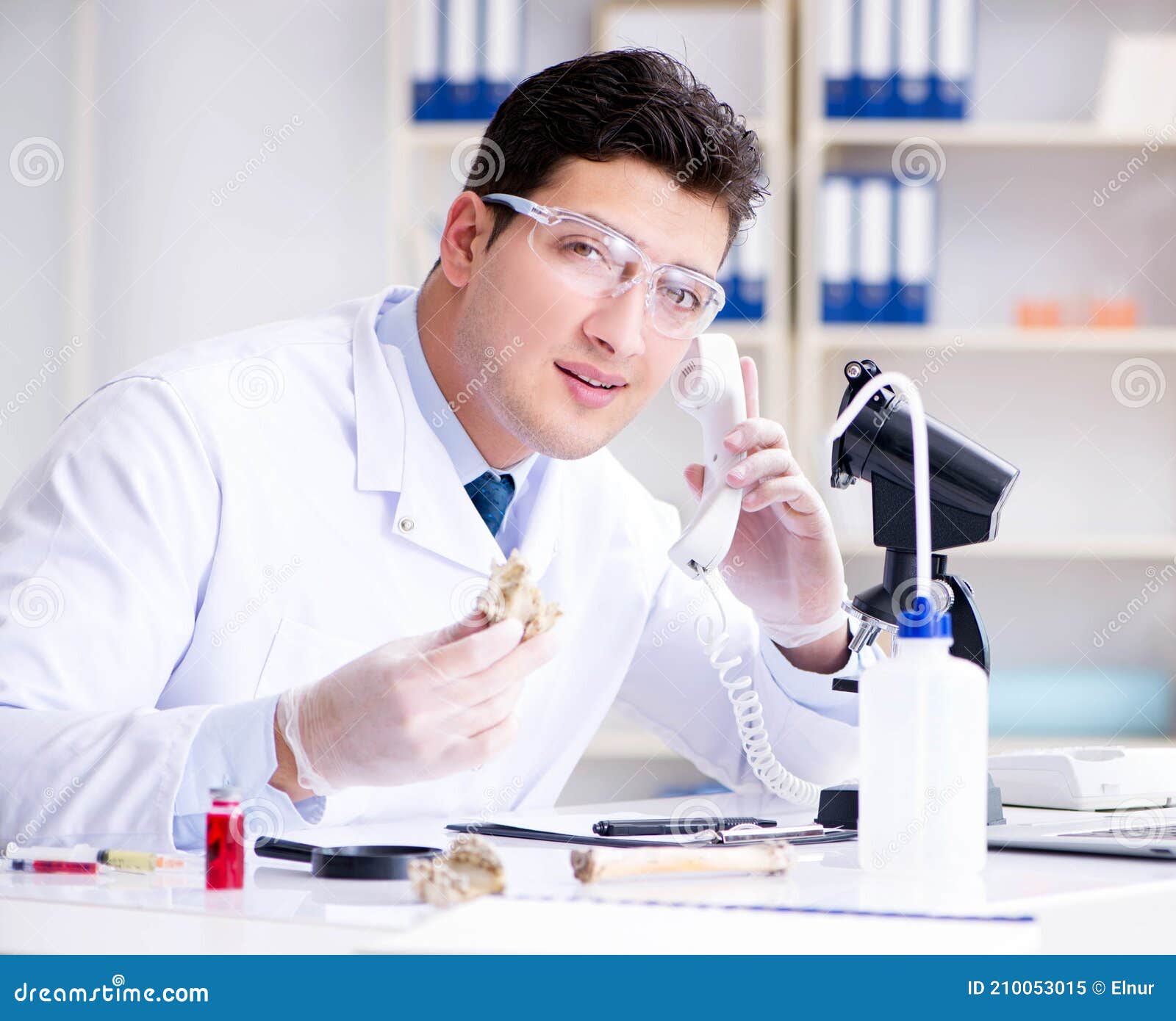 Paleontologist Looking at Extinct Animal Bone Stock Image - Image of ...
