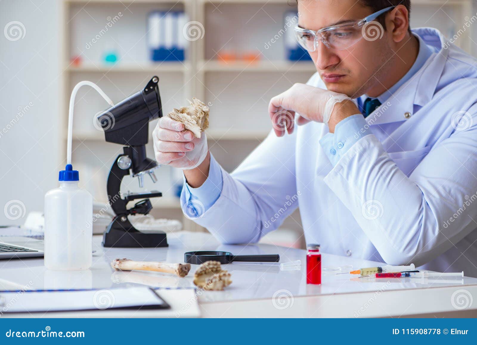 The Paleontologist Looking at Extinct Animal Bone Stock Photo - Image ...
