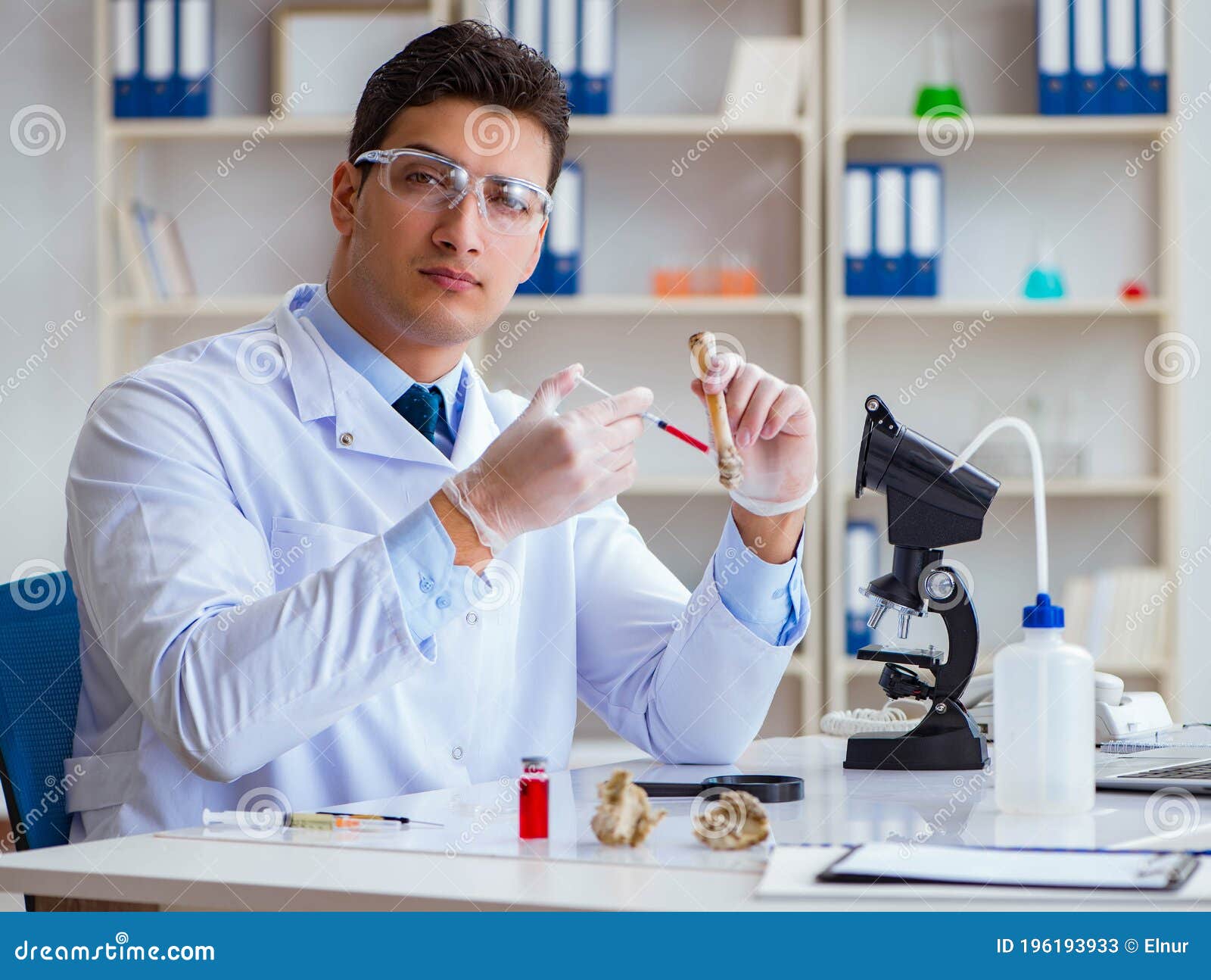 Paleontologist Looking at Extinct Animal Bone Stock Image - Image of ...