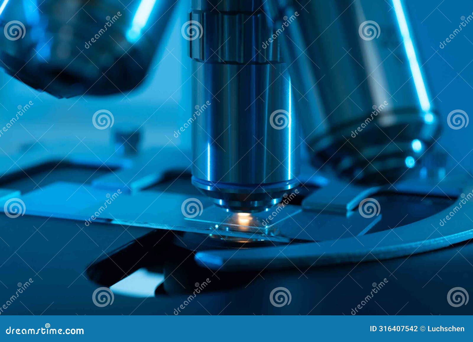 Paleontology: Paleontologists Utilize Optical Microscopes To Study Fos ...