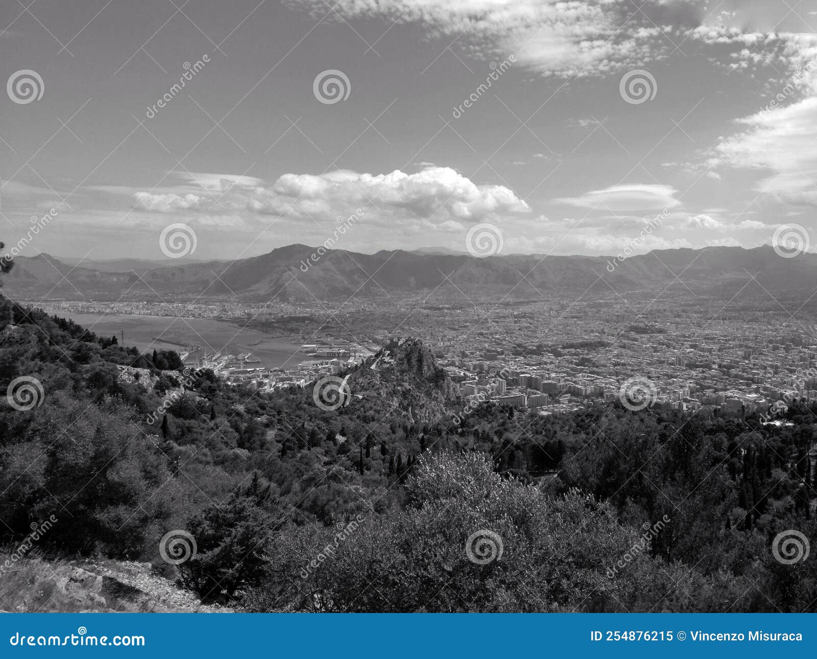 Palermo top view stock image. Image of city, landscape - 254876215