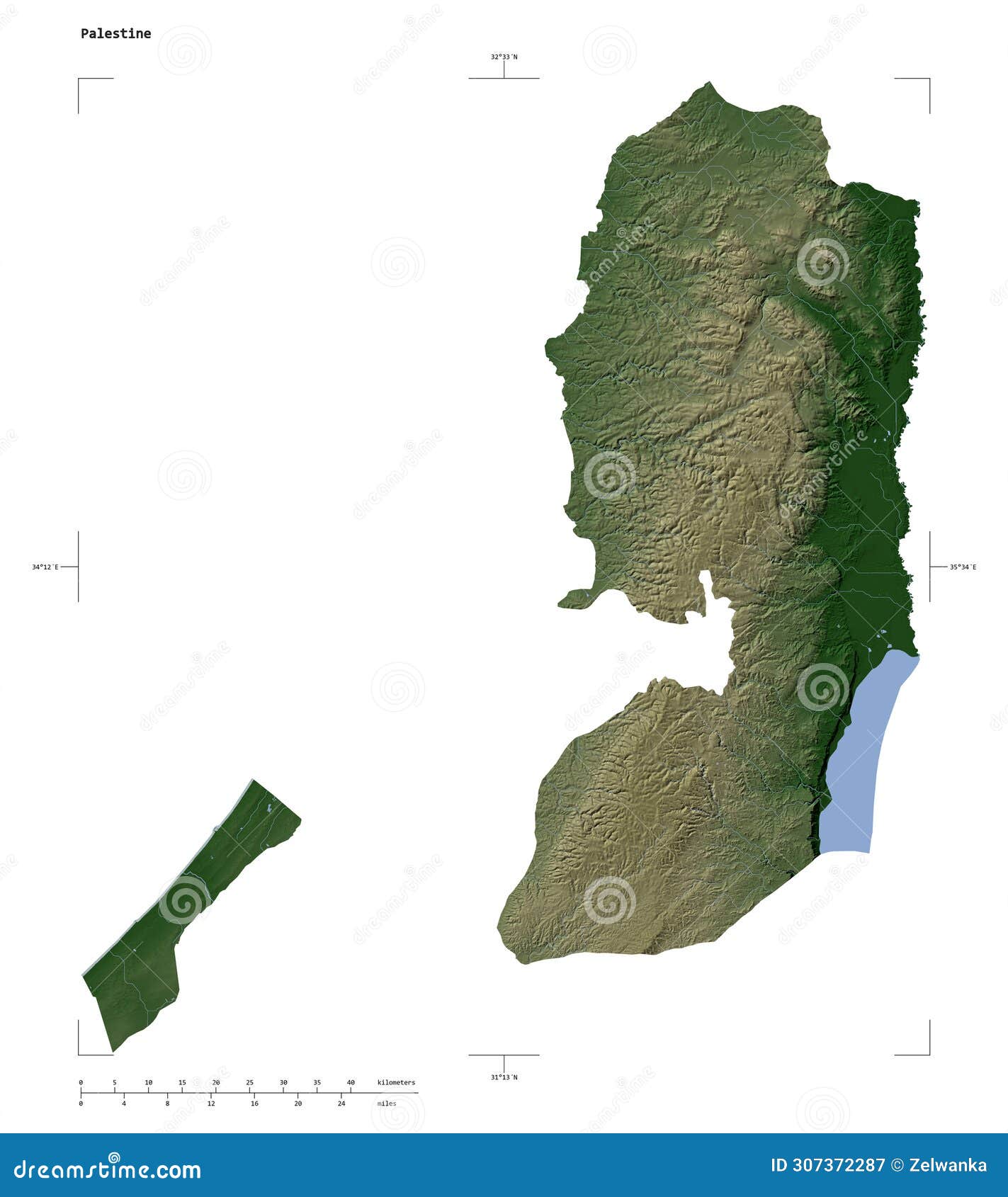 Palestine Shape on White. Pale Stock Illustration - Illustration of ...