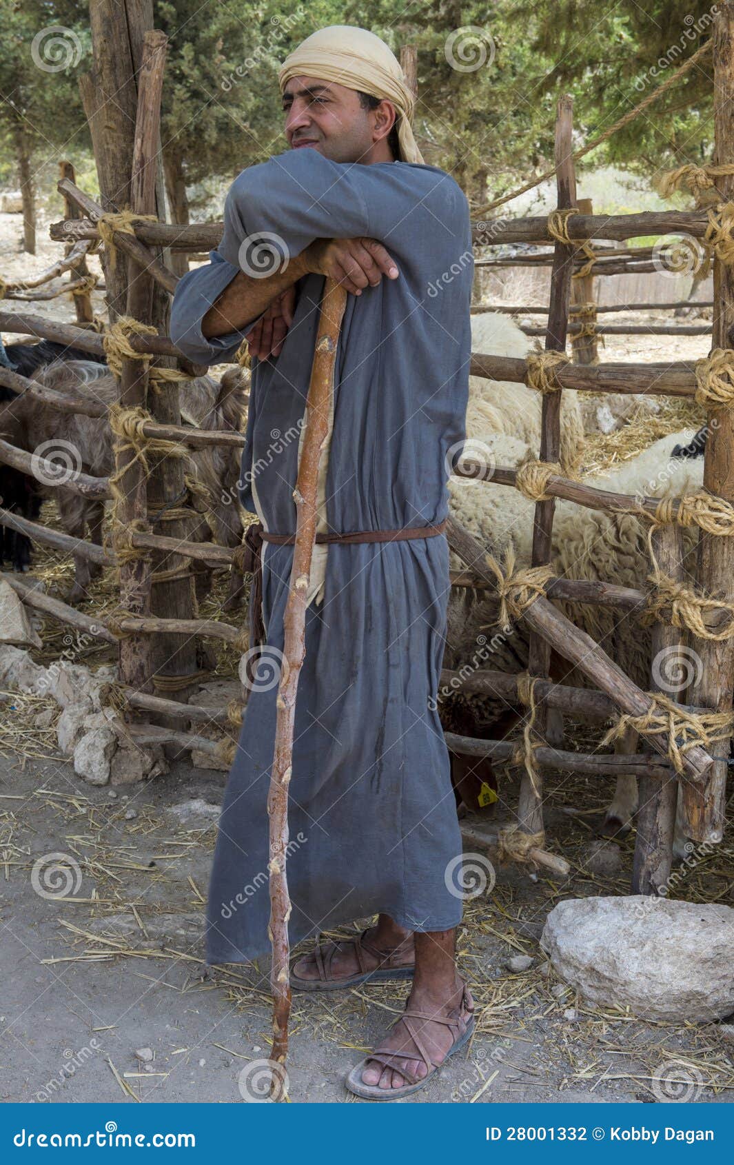 Palestinian shepherd editorial photography. Image of animal - 28001332