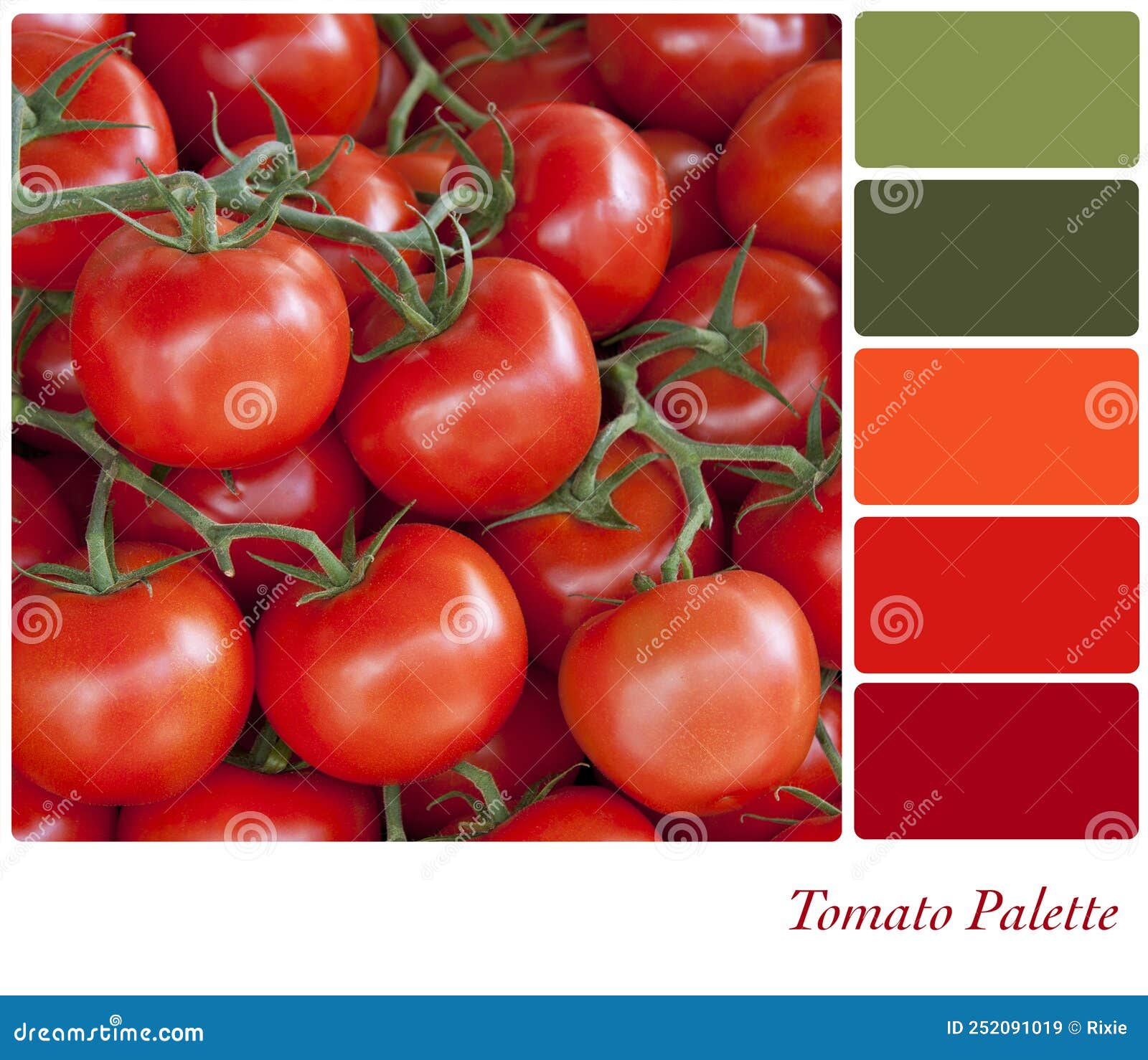 Paleta Colorida De Tomate Com Amostras Complementares Ilustração Stock ...