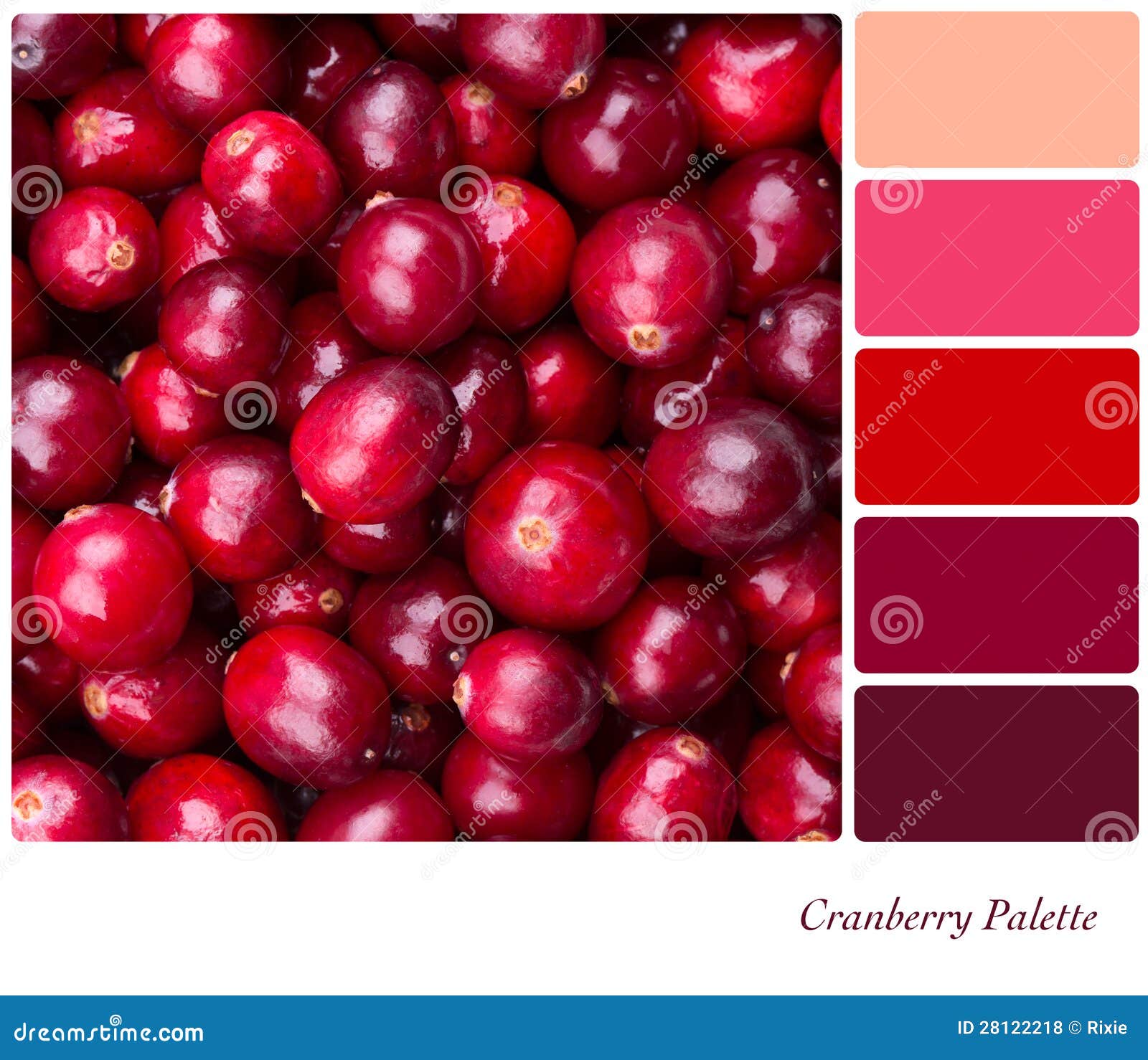 Paleta del arándano foto de archivo. Imagen de brillante - 28122218