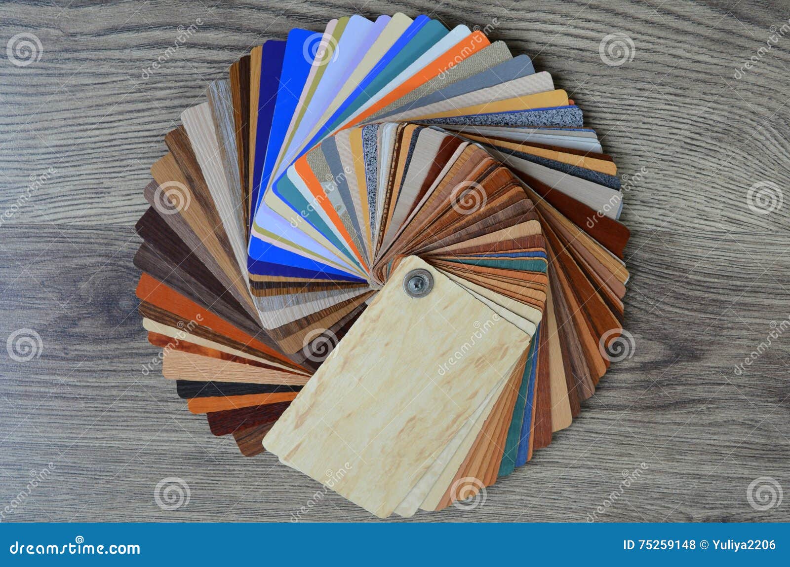 Palette samples of colors stock photo. Image of colors - 75259148