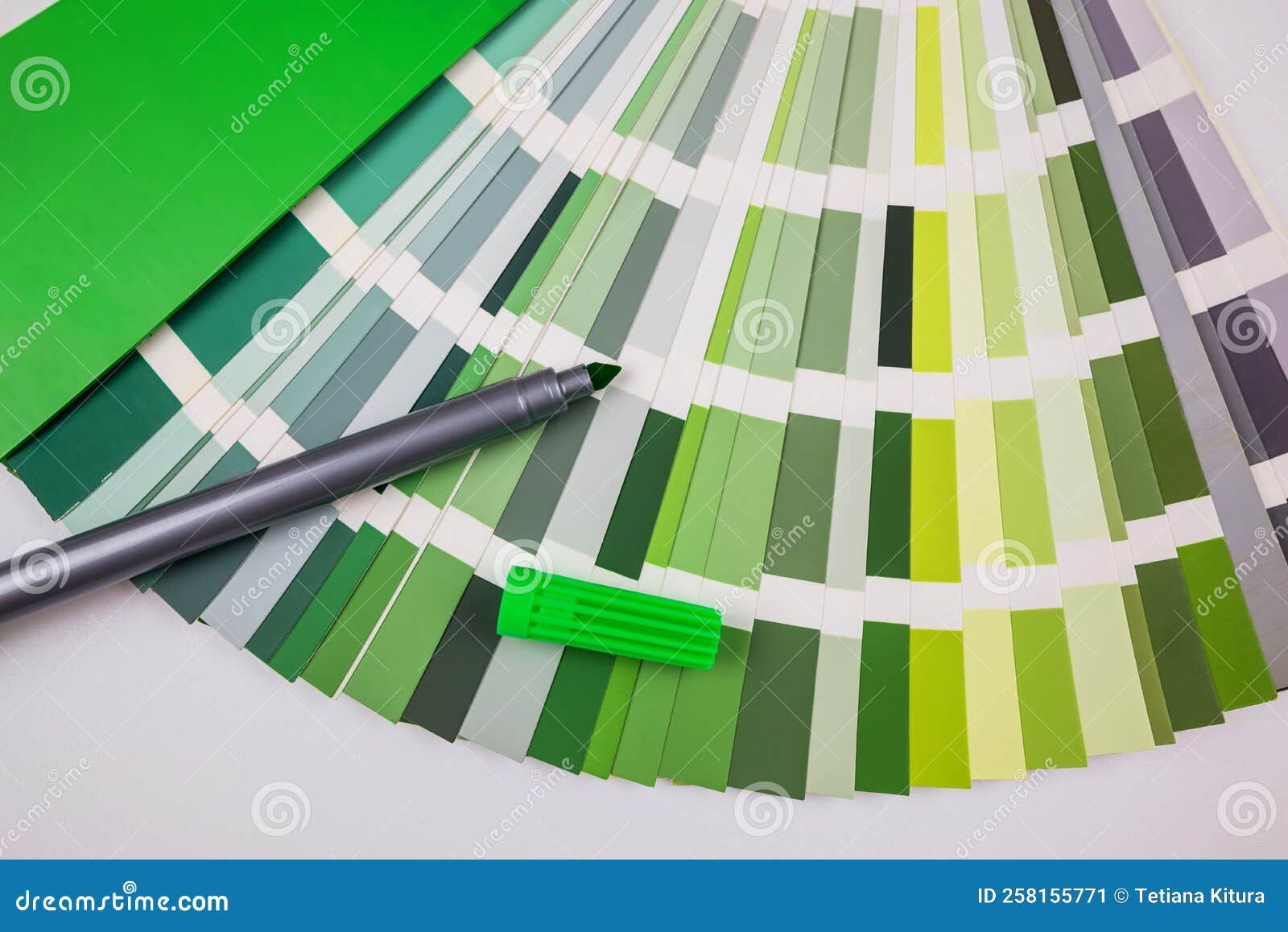 A Palette of Shades of Green. Chromaticity Sample of the Color System ...