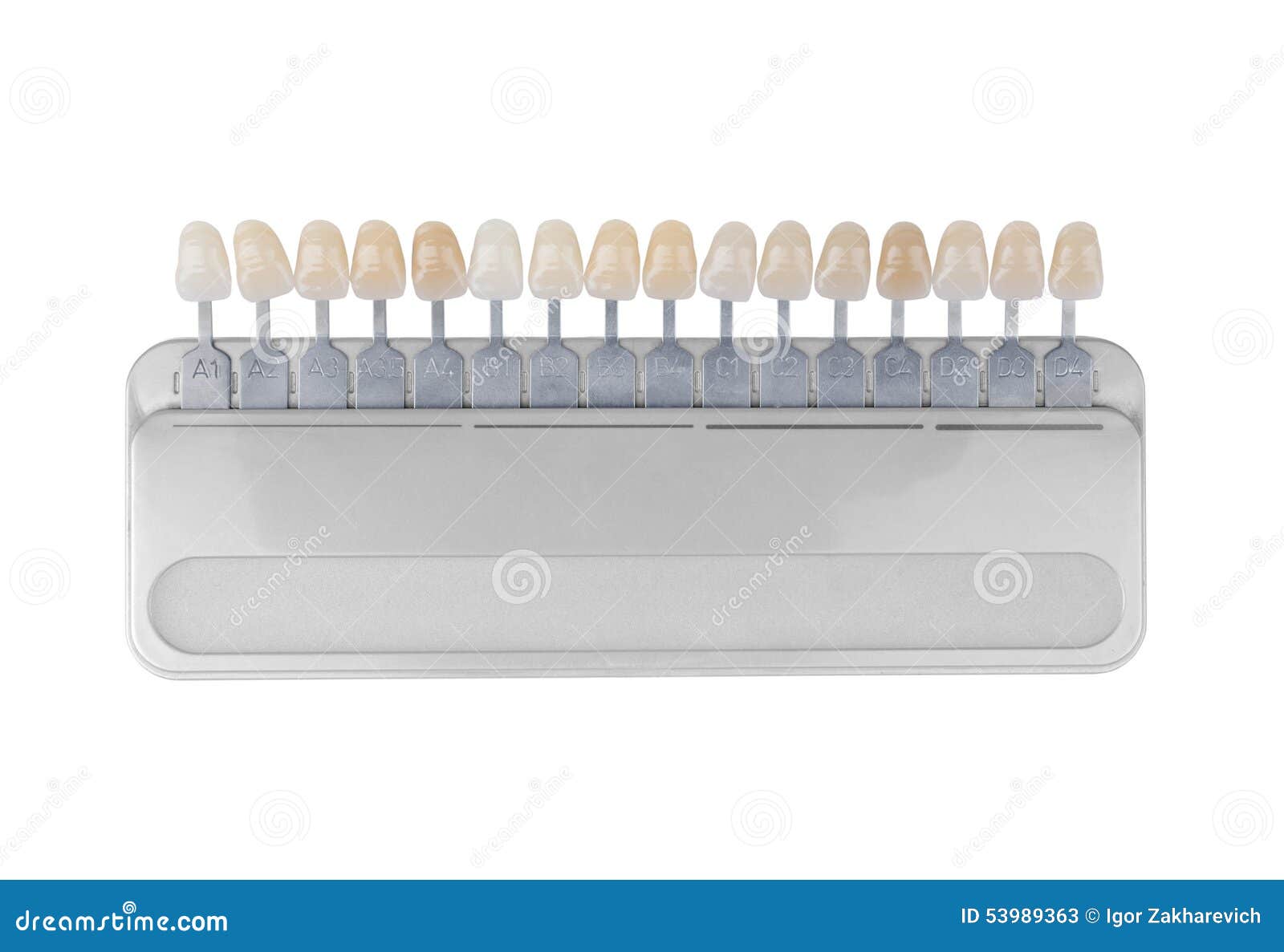 Palette of shades of teeth stock image. Image of medical - 53989363
