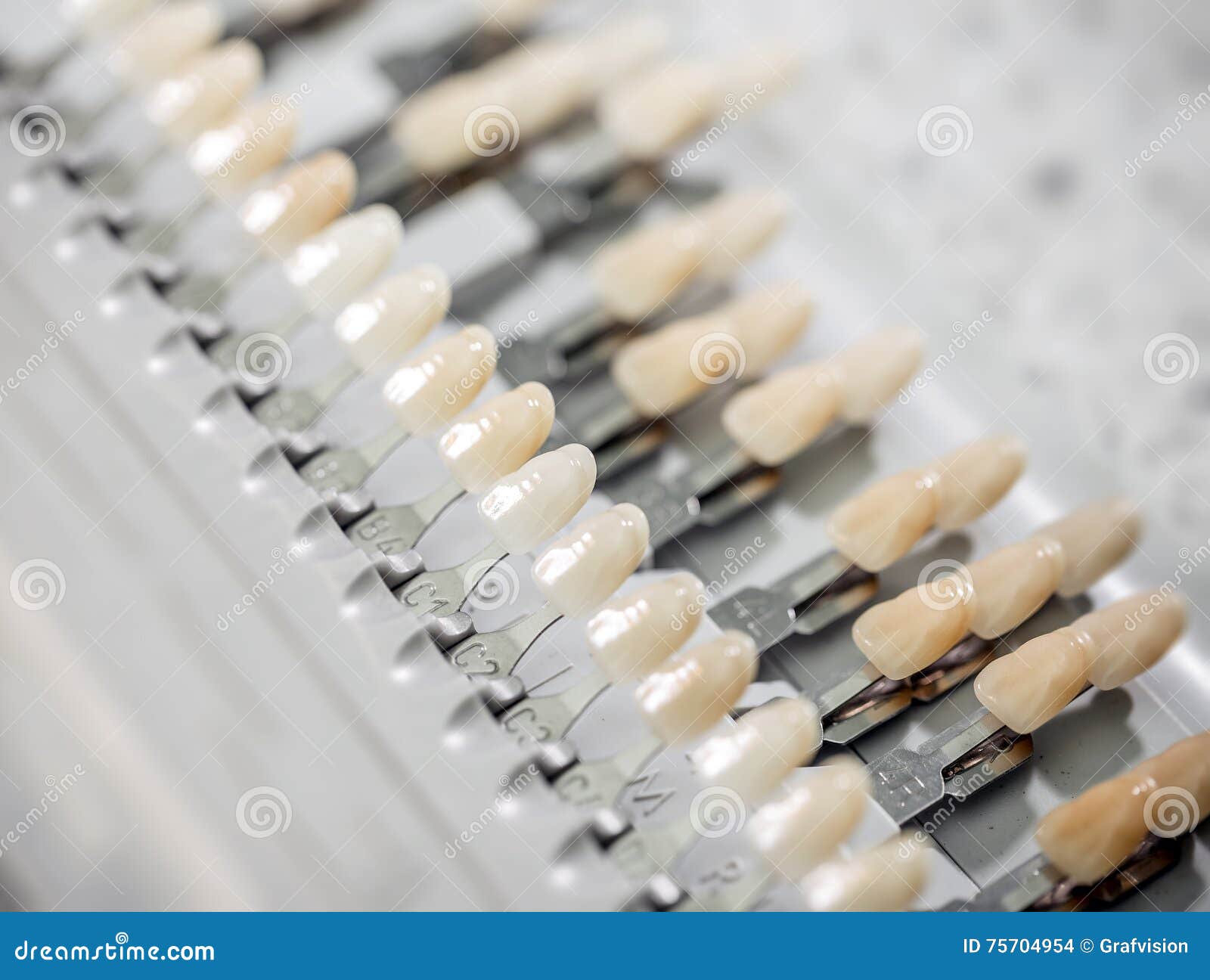 Palette for tooth color, stock photo. Image of treatment - 75704954