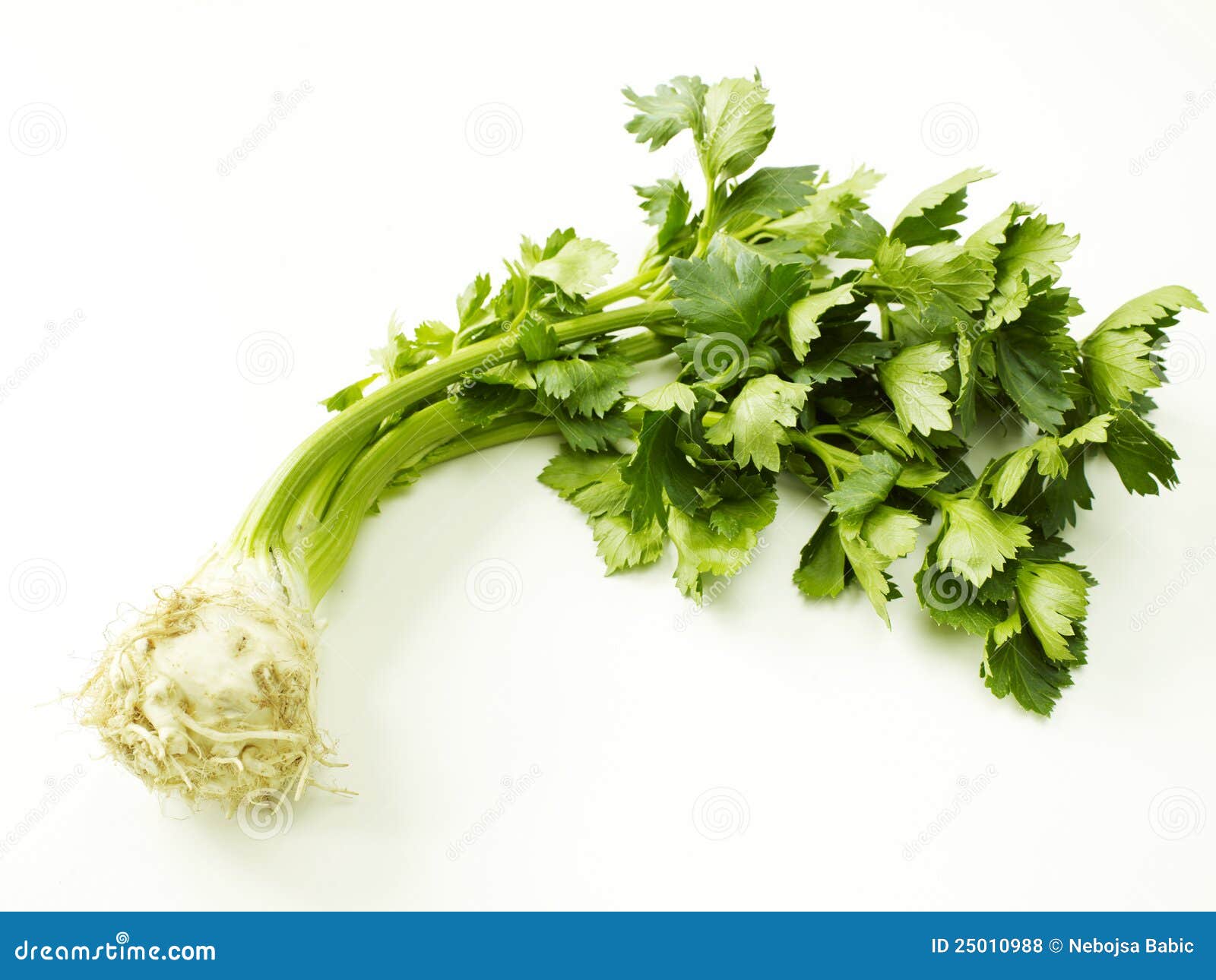 Palillos Del Apio Nabo Y De Apio Foto de archivo - Imagen de verde ...