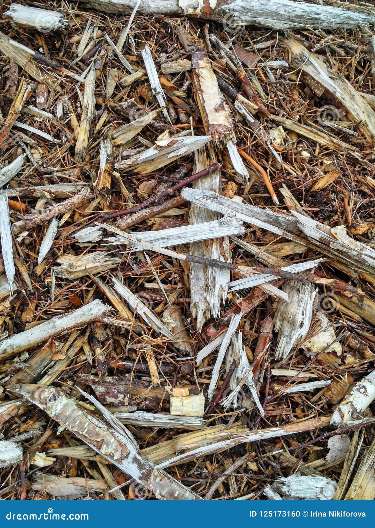 Palillos quebrados foto de archivo. Imagen de campo - 125173160
