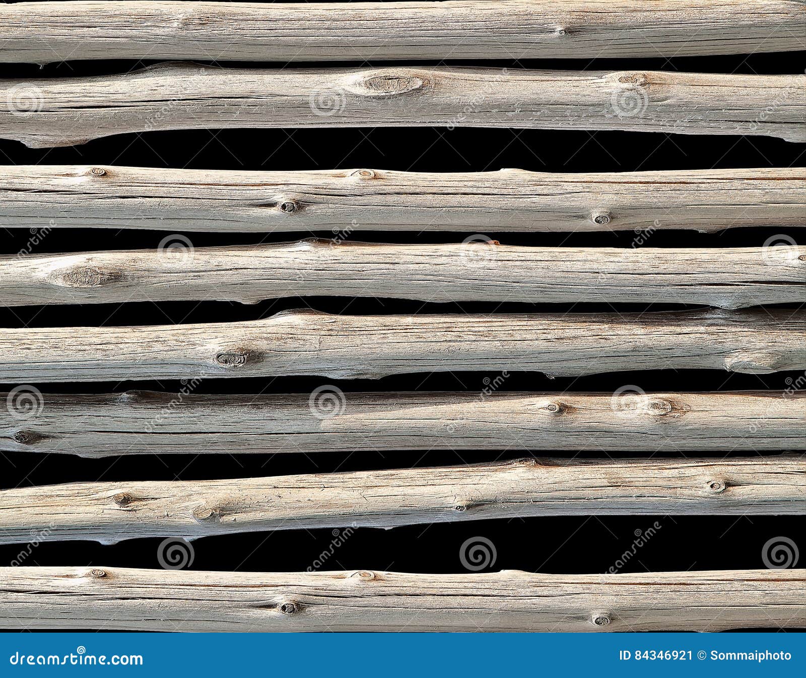 Paling isolated on black stock image. Image of smooth - 84346921