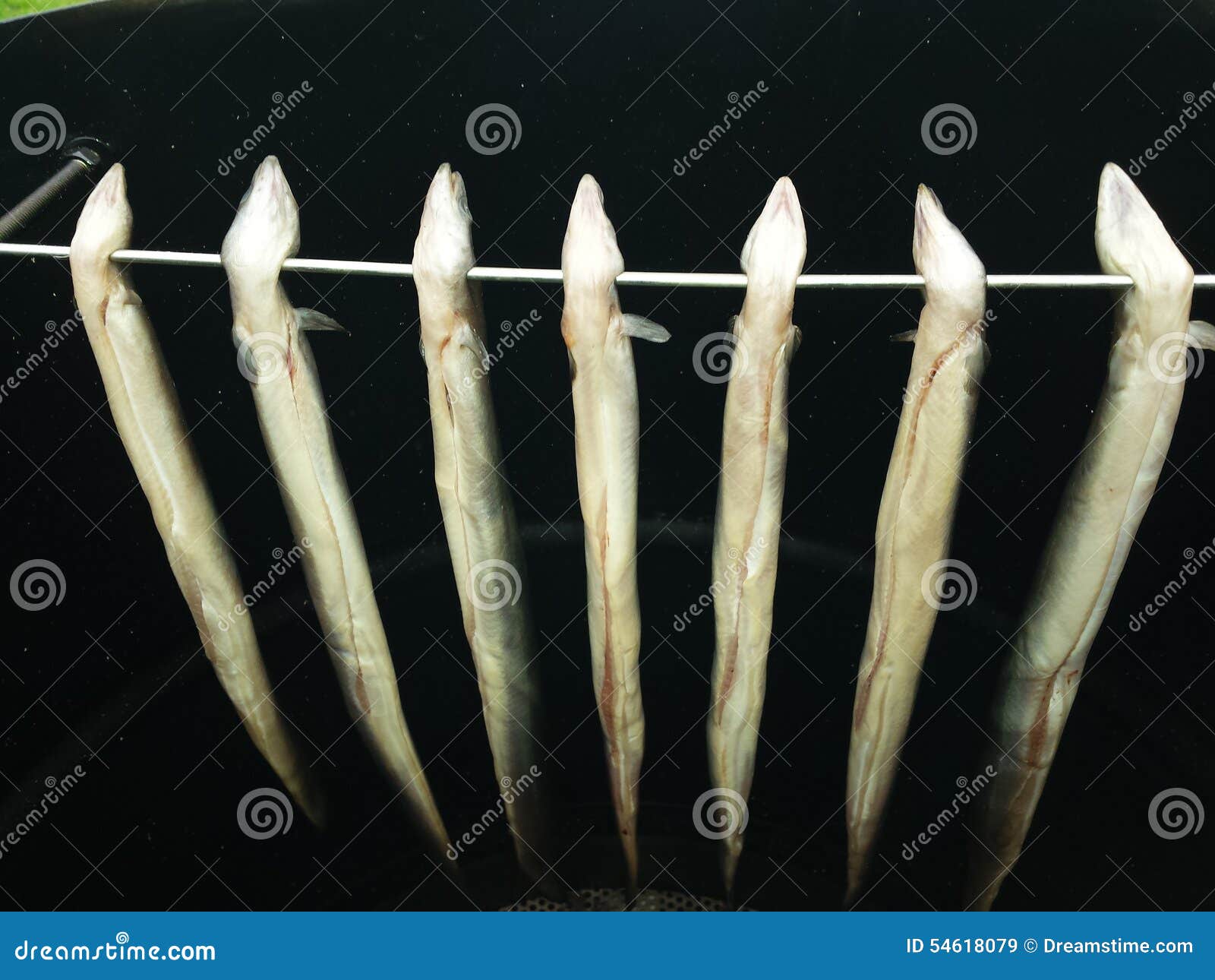 Paling roken stock image. Image of eerst, voor, roken - 54618079