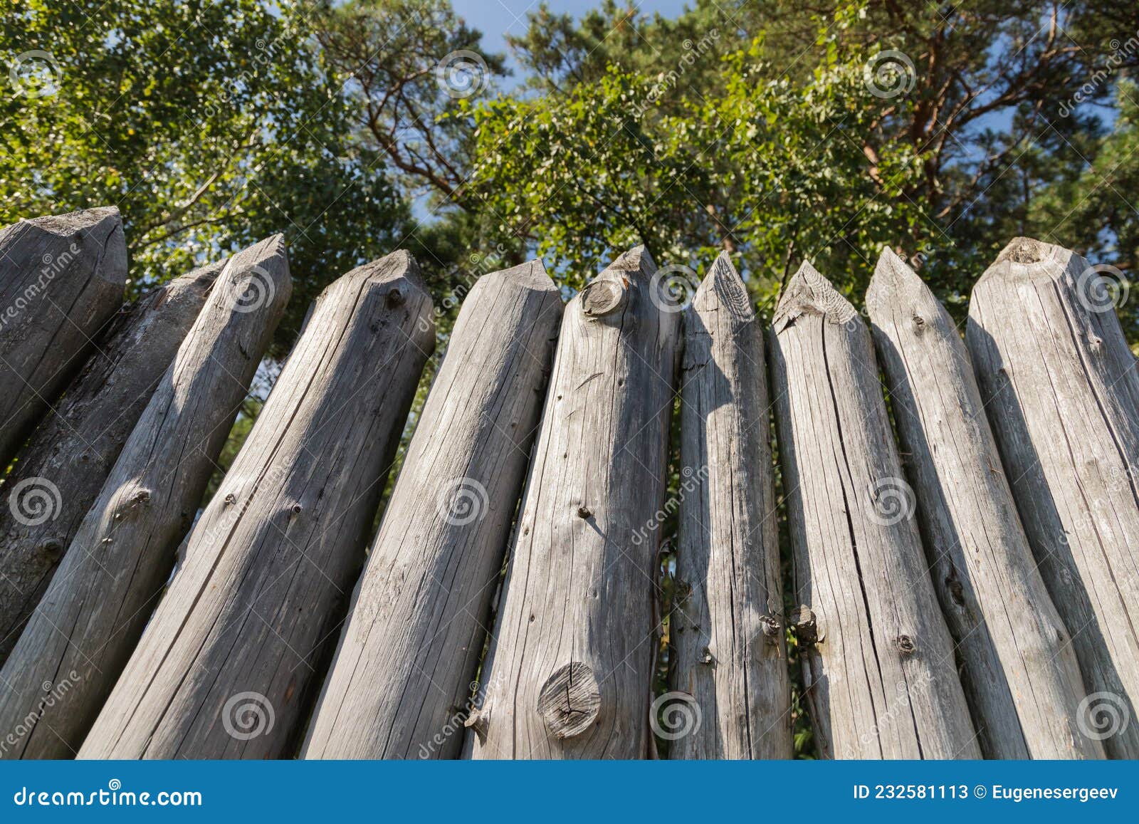 Palisade Perspective View. Typical Ancient Fence Construction Stock ...