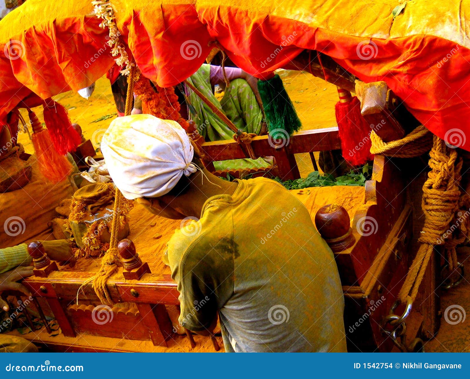 Palkhi stock photo. Image of clothing, colorful, cultural - 1542754