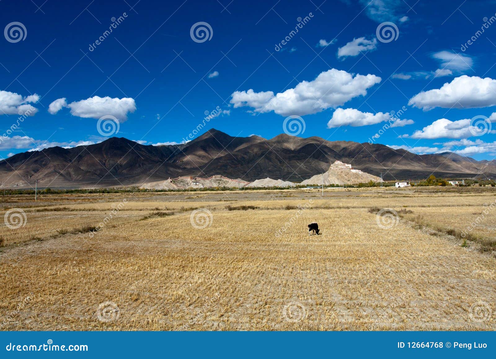 Palkor chode on tibet stock photo. Image of blue, east - 12664768