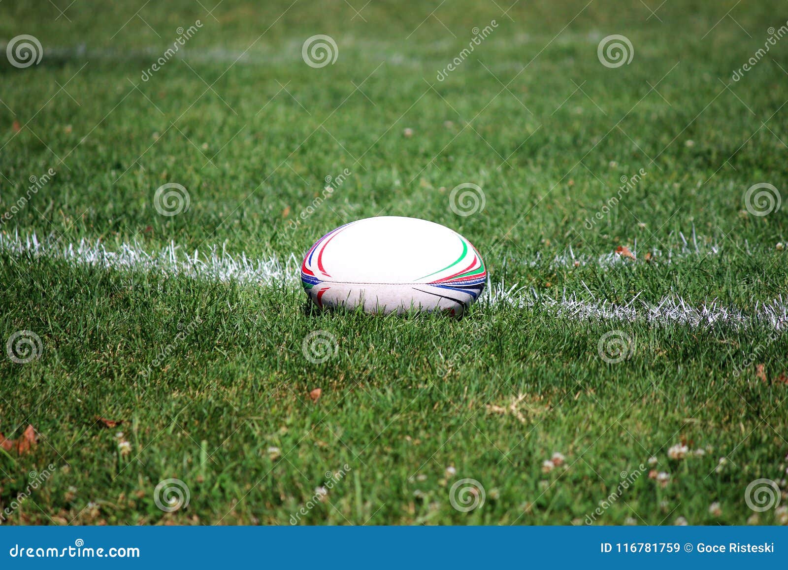 Palla di rugby sul campo immagine stock. Immagine di particolare ...