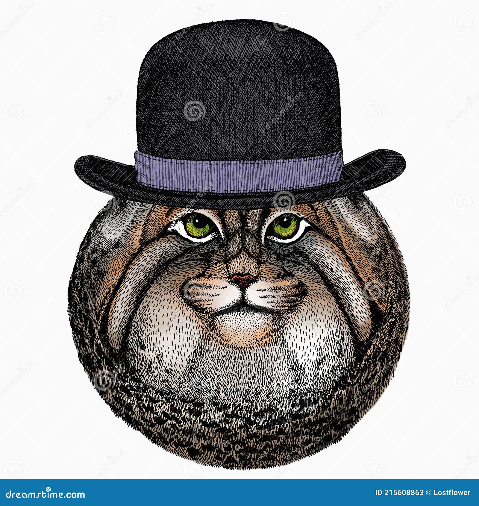 Pallass Cat. Vector Portrait, Wild Cat Head, Wild Cat Face. Bowler Hat ...