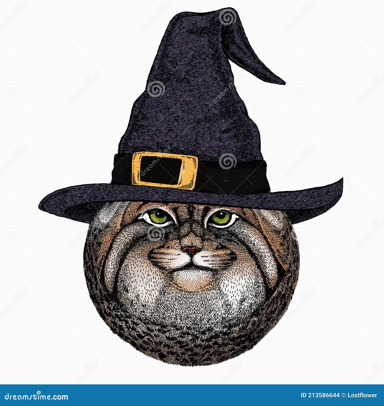 Pallass Cat. Vector Portrait, Wild Cat Head, Wild Cat Face. Stock ...