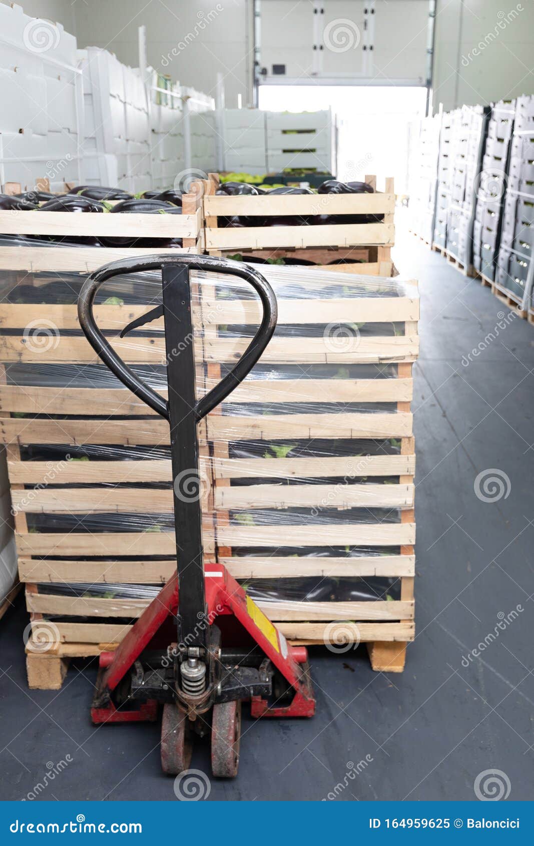 Pallet Jack Crates stock image. Image of food, vegetable - 164959625
