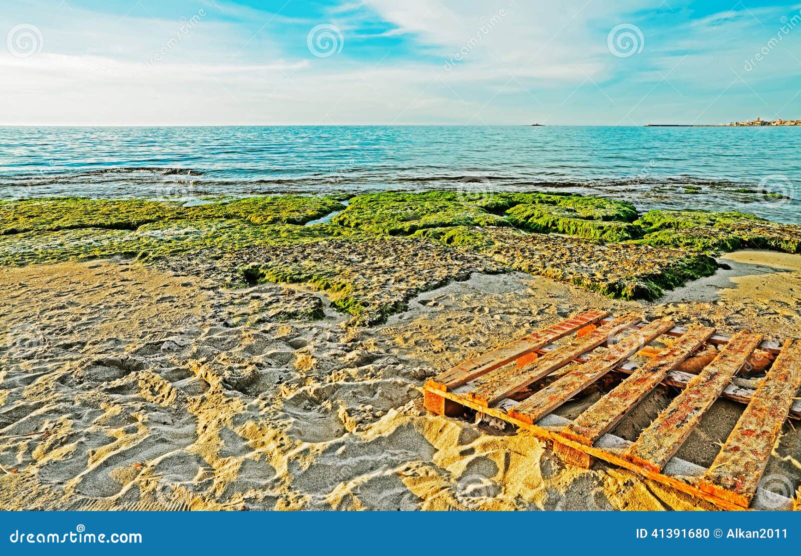 Pallet by the sea stock photo. Image of flora, acinaciformis - 41391680