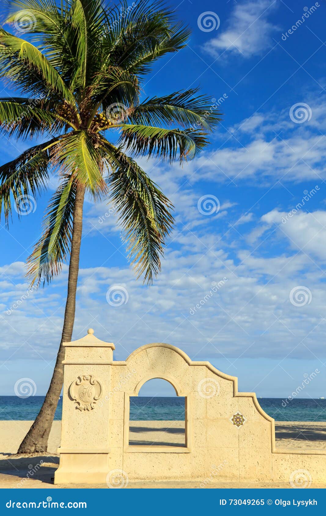 The Palm and Arch on the Beach Stock Image - Image of miami, coastline ...