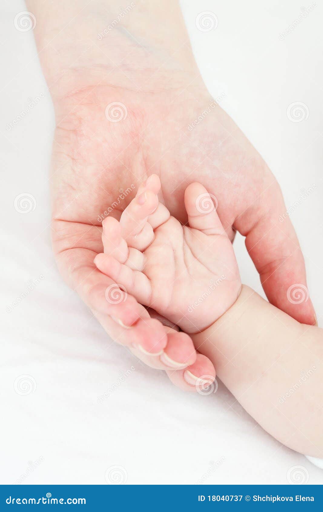 Palm of the baby stock image. Image of child, protection - 18040737
