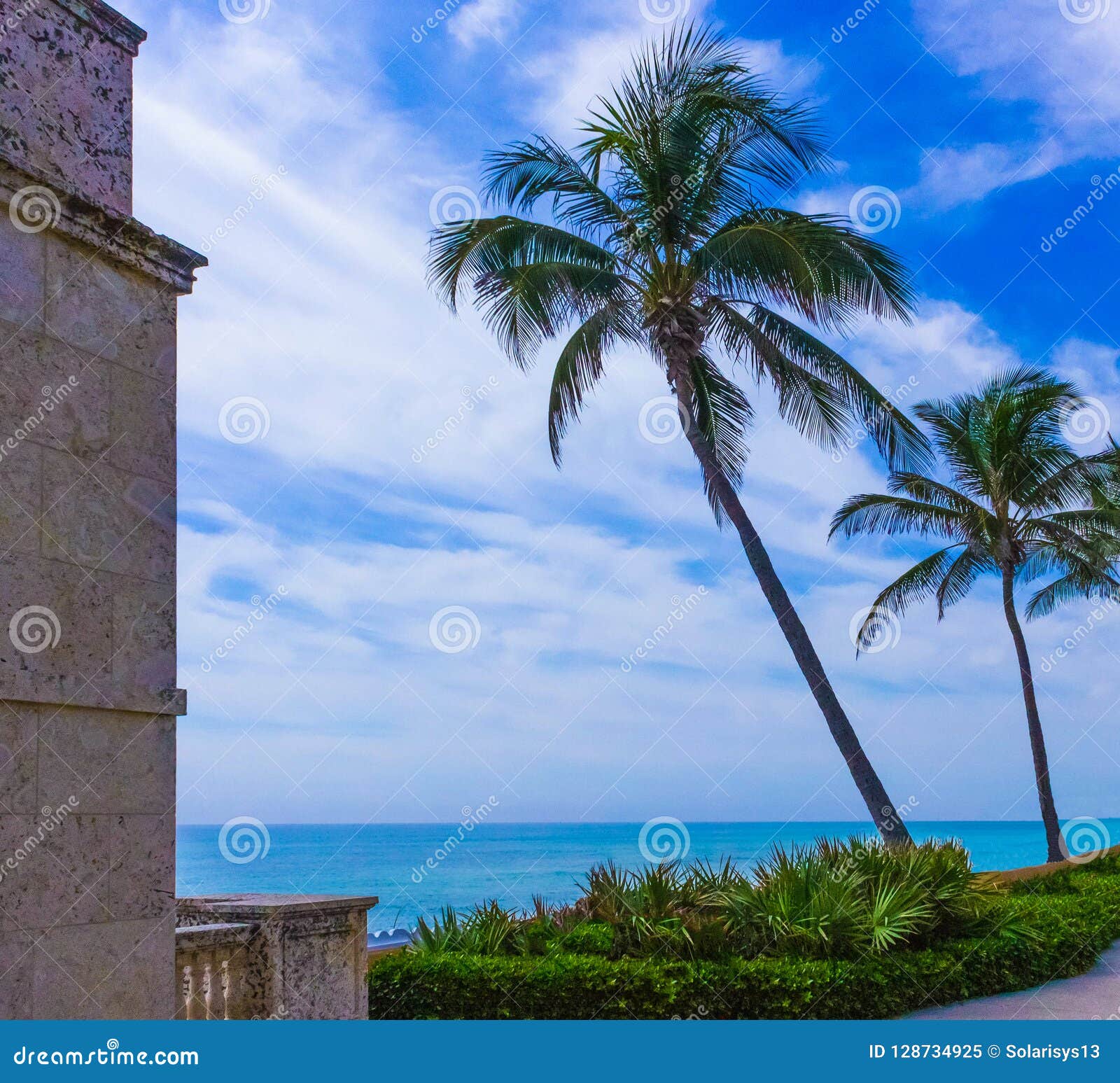 Palm Beach, Florida, USA - Ocean and Trees on Worth Ave. Stock Image ... Palm Beach, Florida, USA - Ocean and Trees on Worth Ave. Stock Image ...