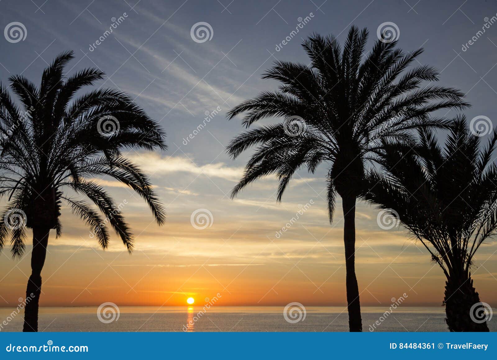 Palm Beach, Seaside, Sunset View. Summer Nature Scene. Stock Image ...
