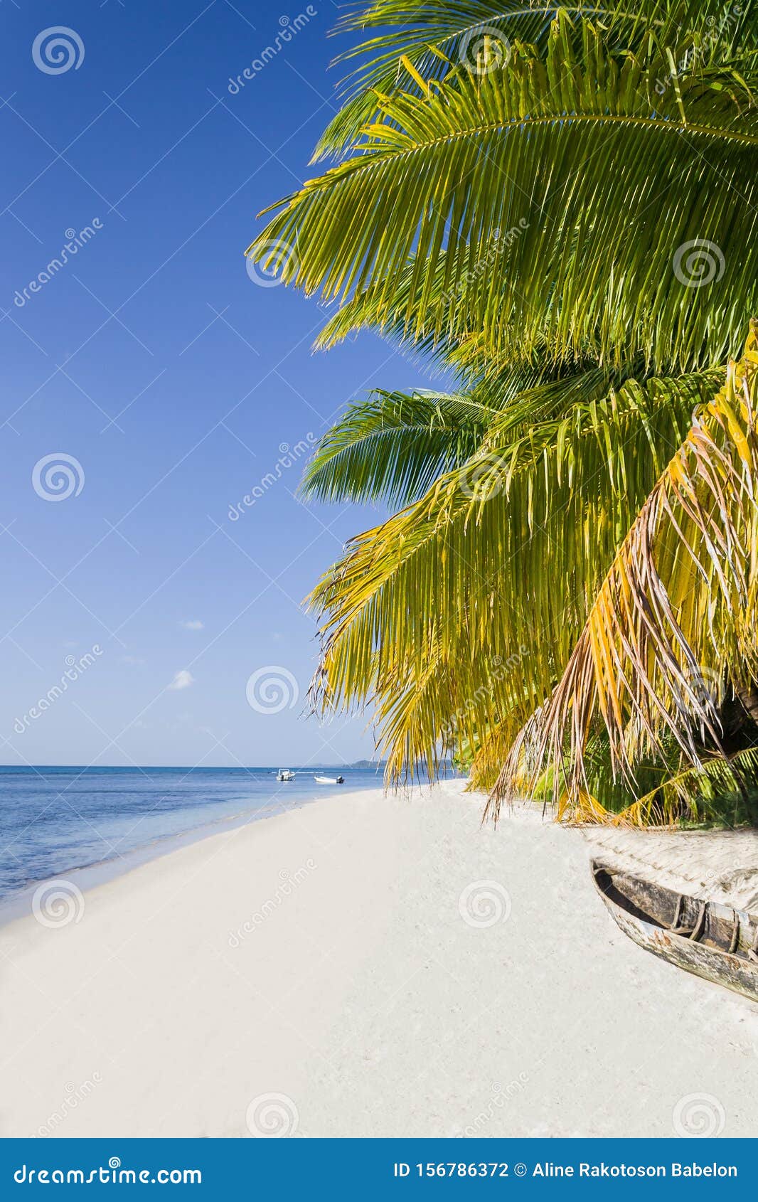 Palm beach stock photo. Image of madagascar, boat, relax - 156786372