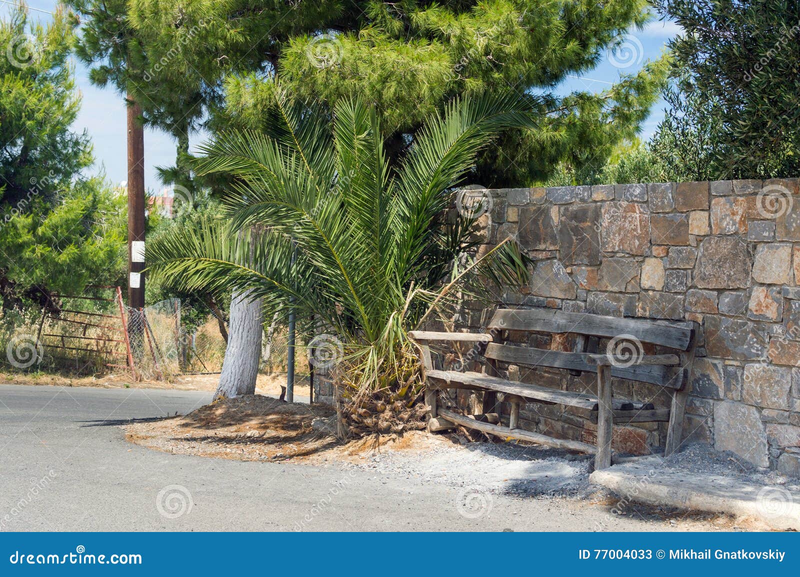 Palm, bench and stone wall stock image. Image of armchair - 77004033