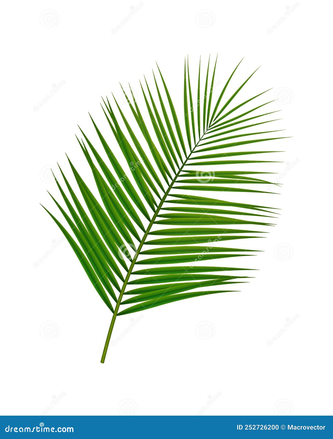 Palm Branch Realistic Composition Stock Illustration - Illustration of ...