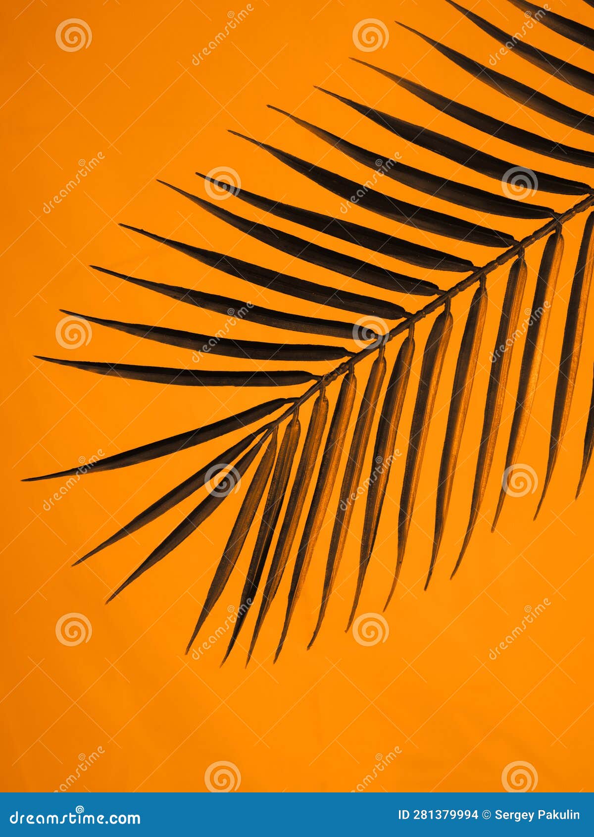 Palm Branch Silhouette on Yellow Background. Abstract Background Stock ...