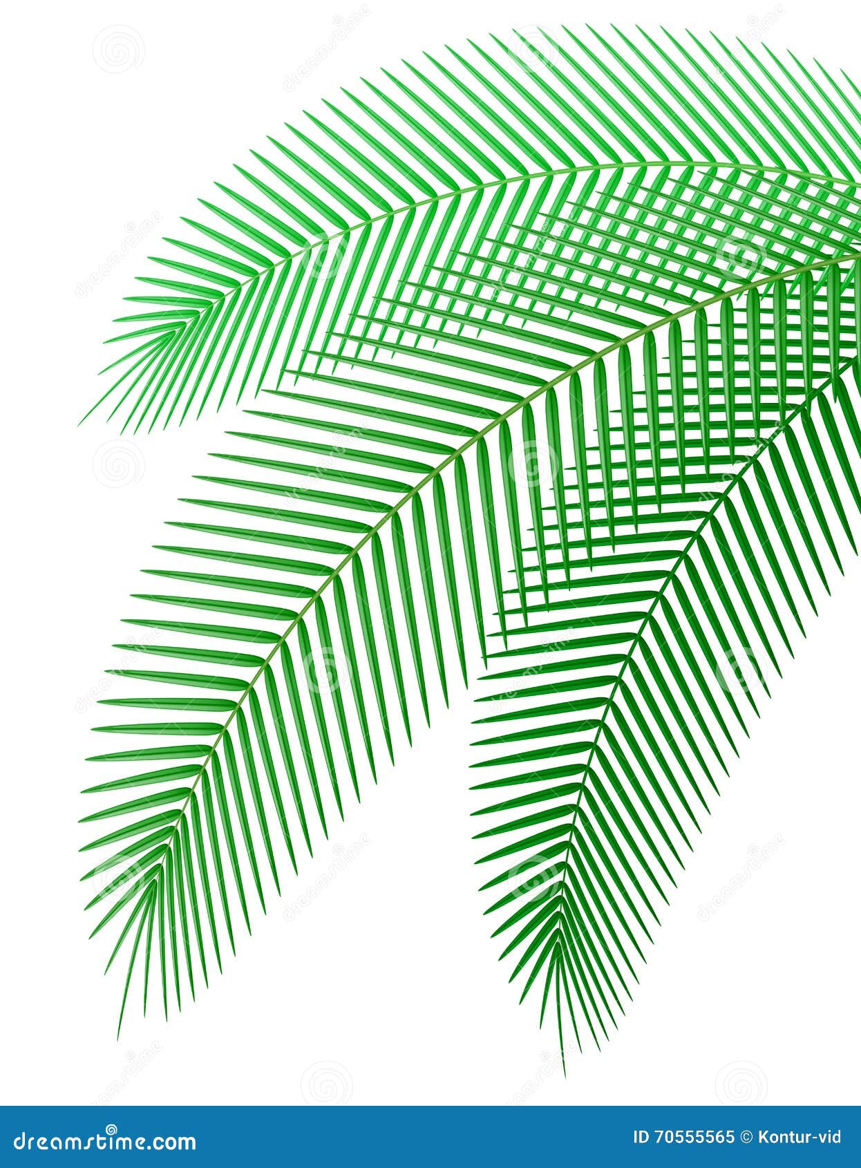 Palm Branch Vector Illustration Stock Vector - Illustration of resort ...