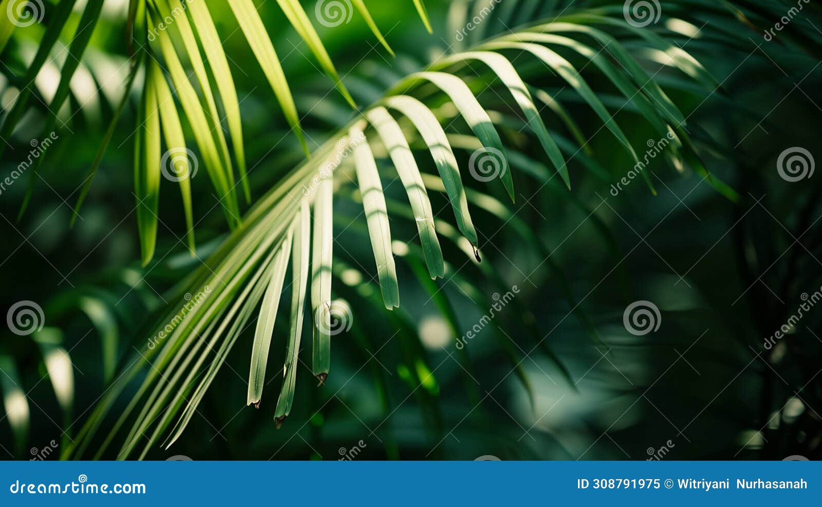 Palm Branches in the Corners, Tropical Plants Decoration Elements ...