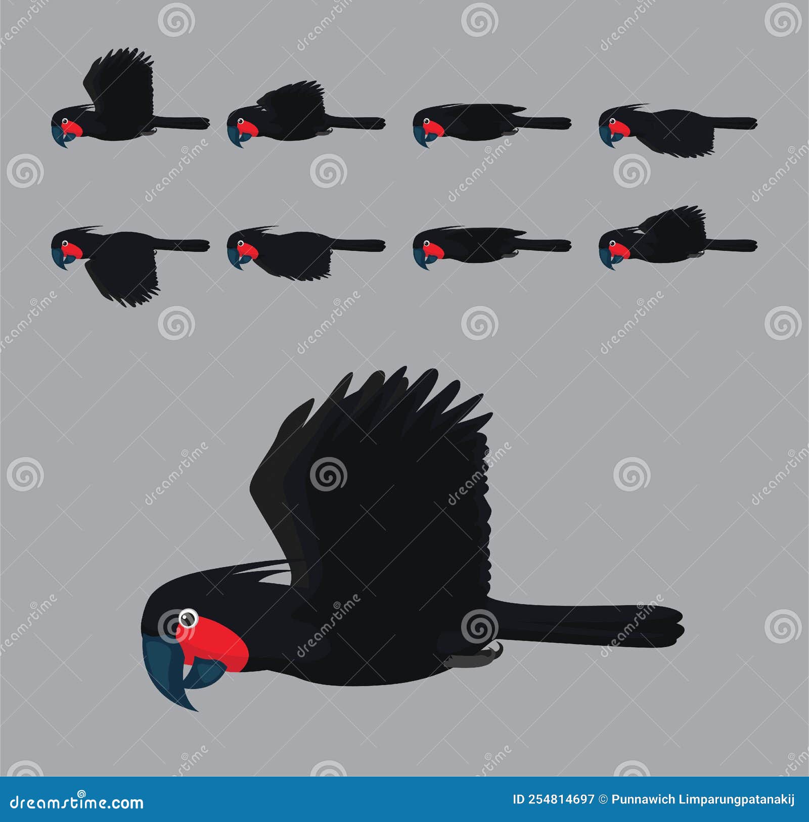 Palm Cockatoo Flying Animation Sequence Cartoon Vector Stock Vector ...