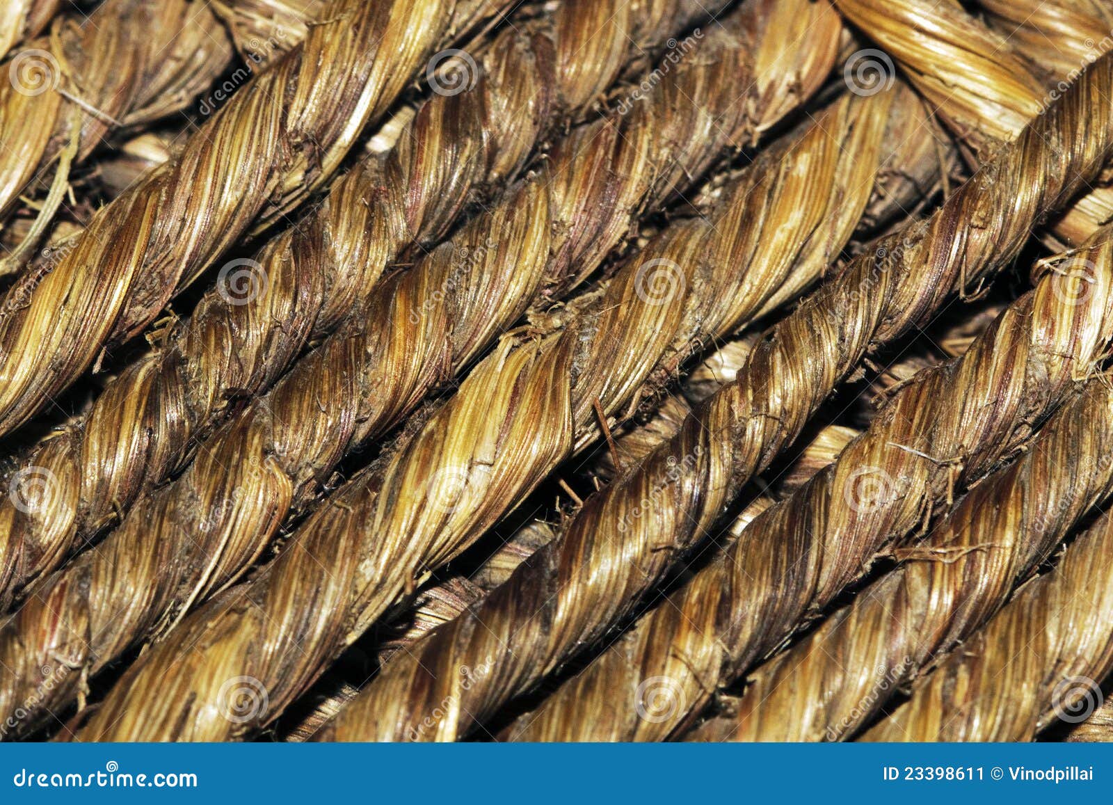 Palm Cord Texture stock image. Image of hand, shiny, abstract - 23398611