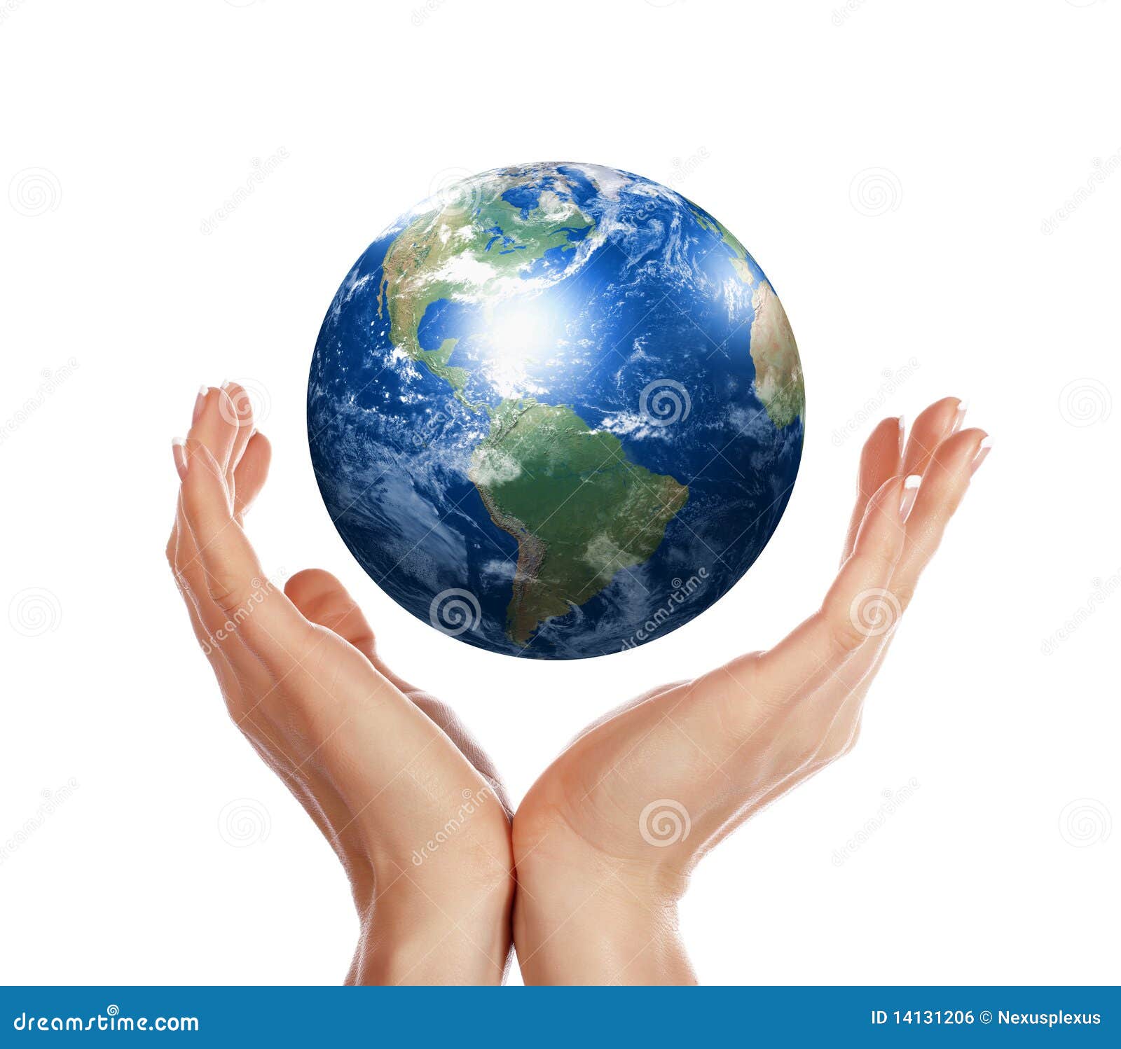 Palm And Earth Picture. Image: 14131206