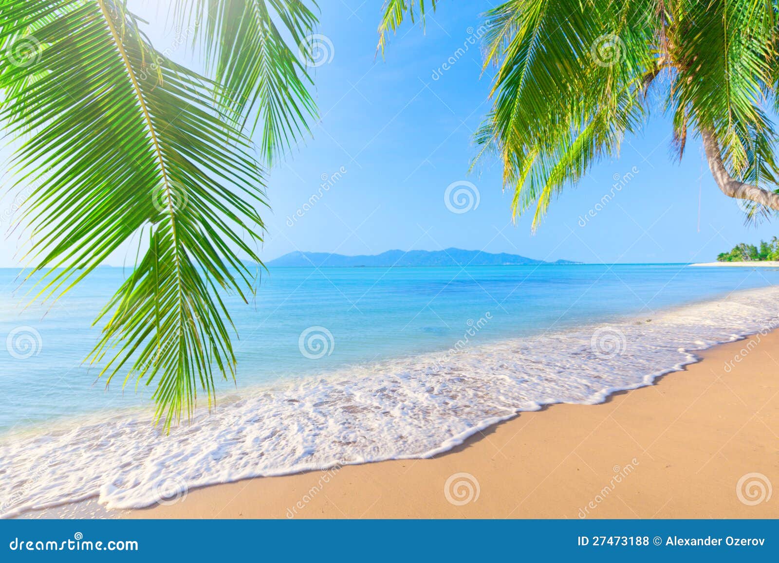 Palm en tropisch strand stock foto. Image of wolk, wildernis - 27473188